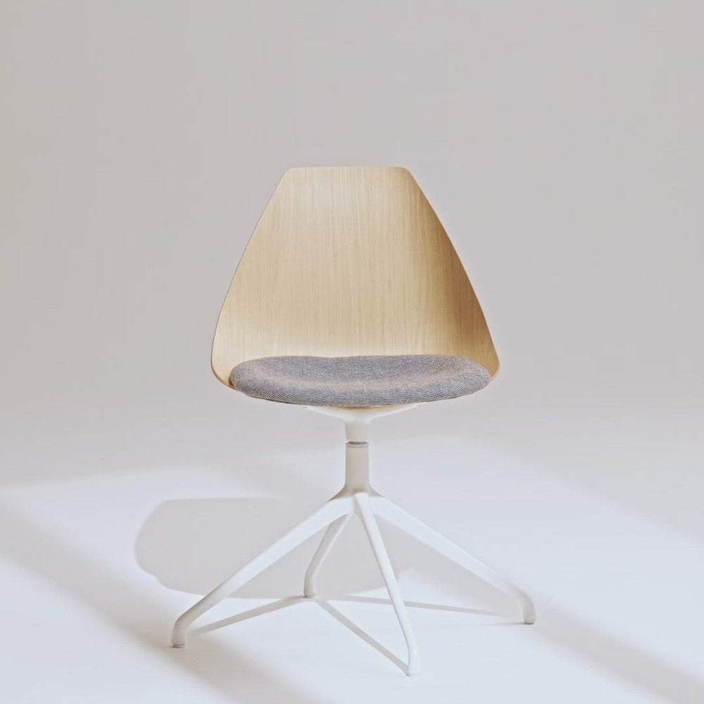 Ziba Chair | Modern & Contemporary Chairs | Case Furniture