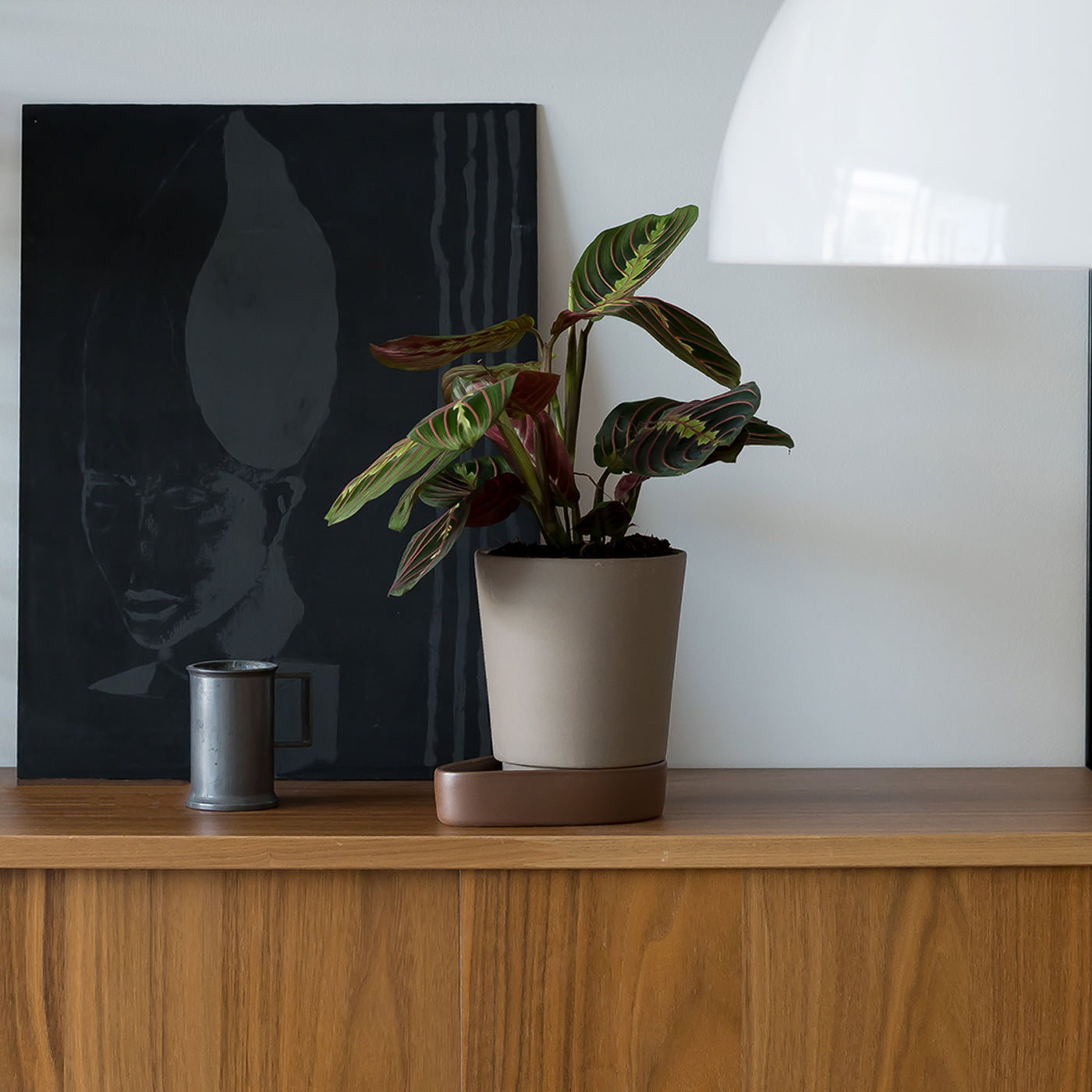 Sip Plant Pot | Modern & Designer Plant Pot | Case Furniture